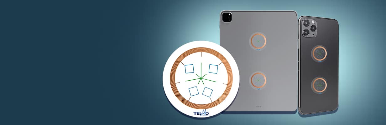 Biomagnetism Magnets | Practitioners Guidebook, Shoes, 3D...