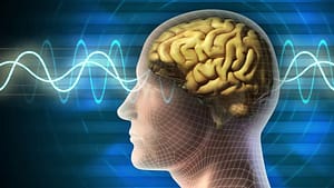 Neurofeedback vs Biofeedback: What's the Difference? - Holistic Therapy ...