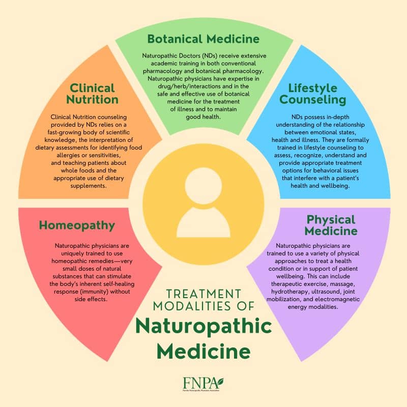 Understanding the Difference: Naturopathic Doctor vs. Holistic Doctor - Holistic Therapy Tribe